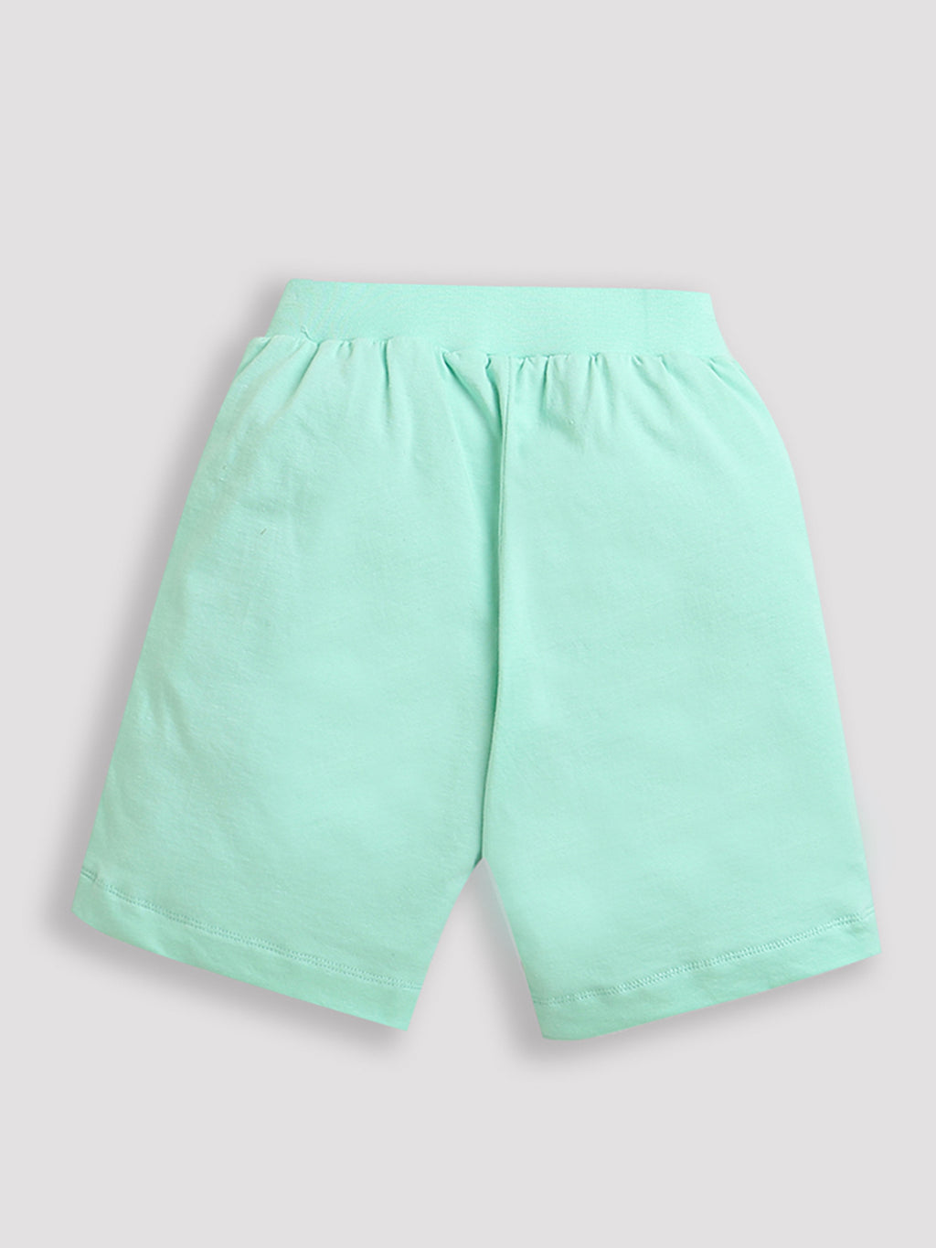 Mint Green Alligator print Boys Shorts – ZipZapZoop